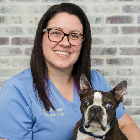 Veterinarian In Brazoria, TX 77422 | Wild Peach Veterinary Clinic